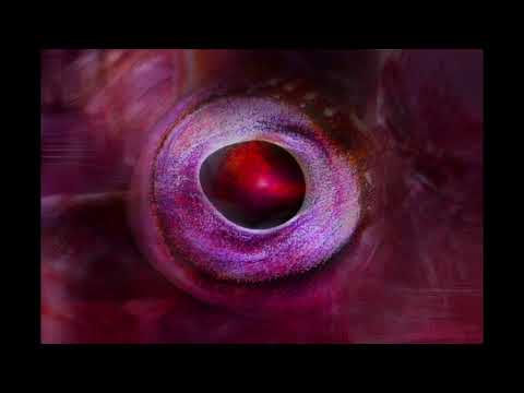 INFO | SEA REFLECTION & CONNECTION