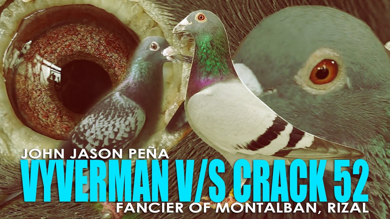 Part 2 | Vyverman v/s Crack 52 | John Jason Peña - YouTube