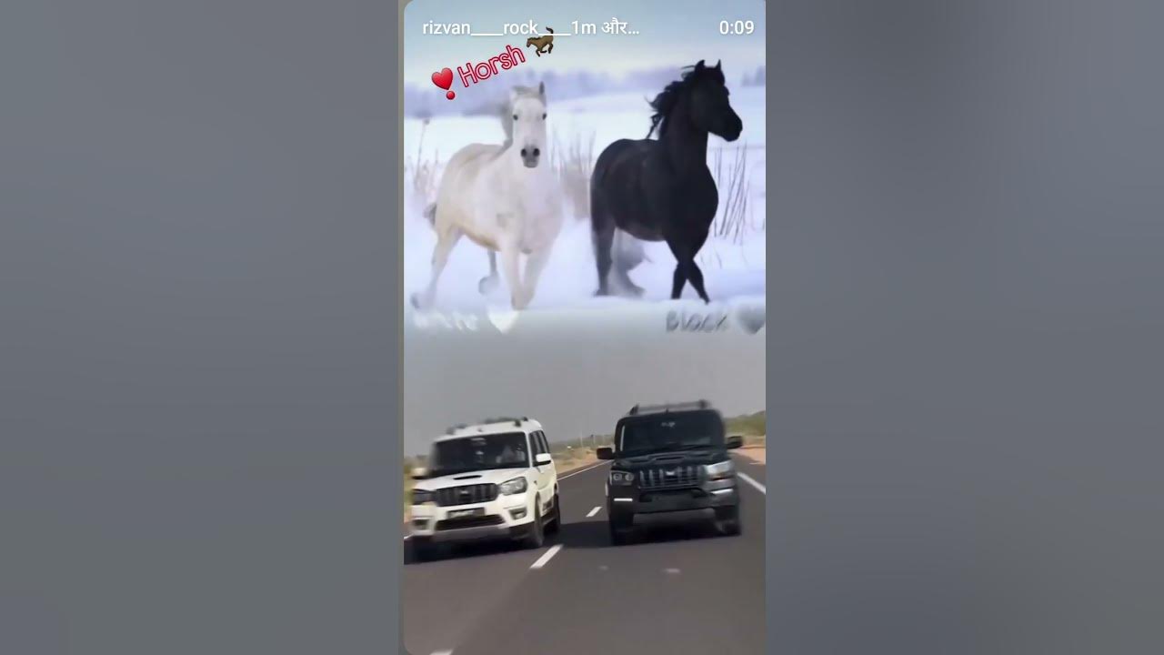 Satyam,Rathaur,scharpio,lover,ko,rathaur,samaj,lick,karo - YouTube