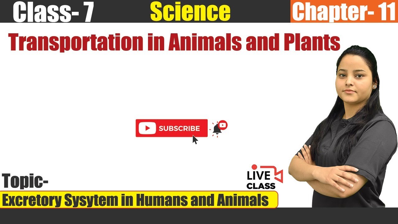 Excretion and transpiration in plants - Transportation in Plants and ...