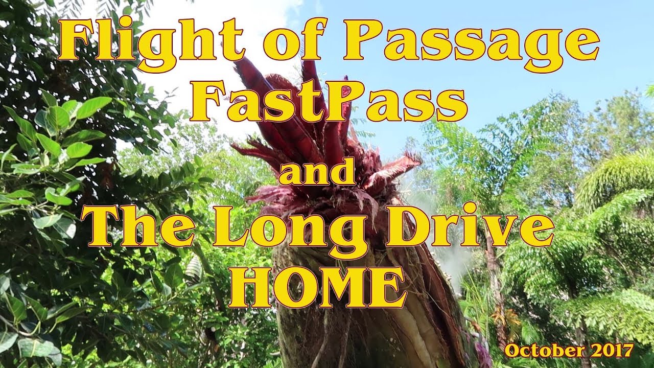 Flight of Passage FastPass and the Long Drive Home - YouTube