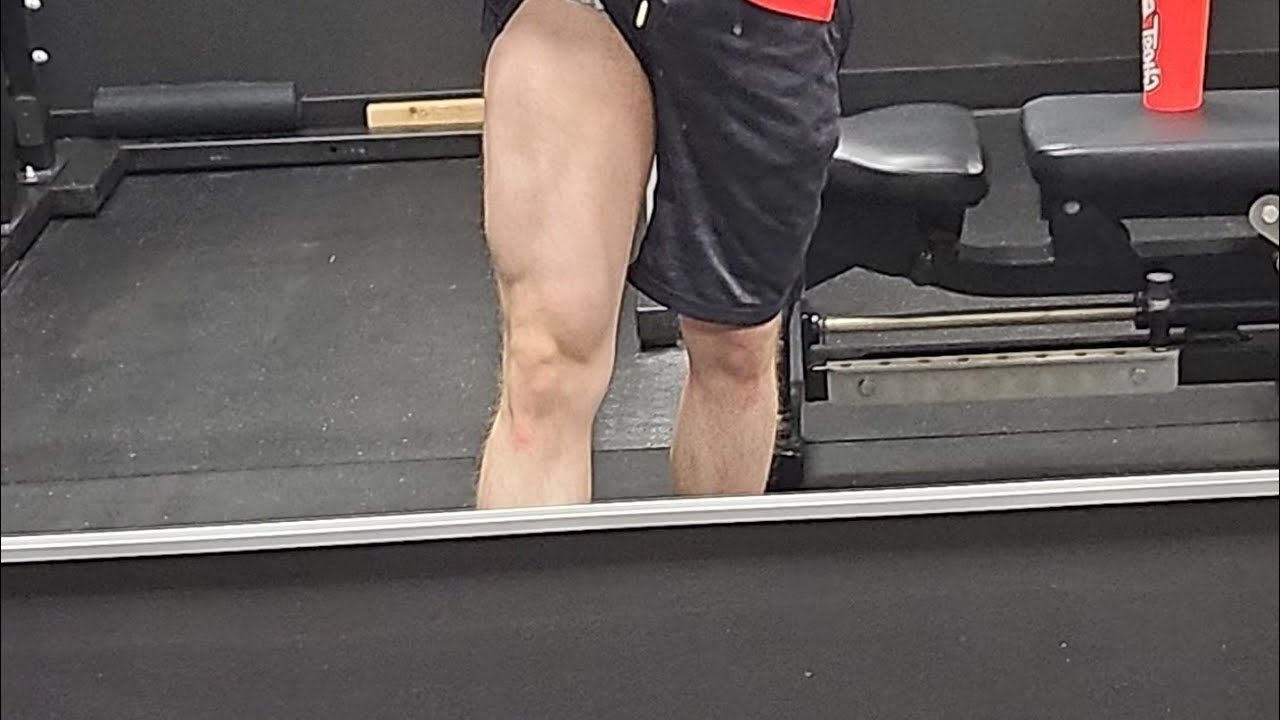 Day 12 of fall cut Another Leg Day - YouTube