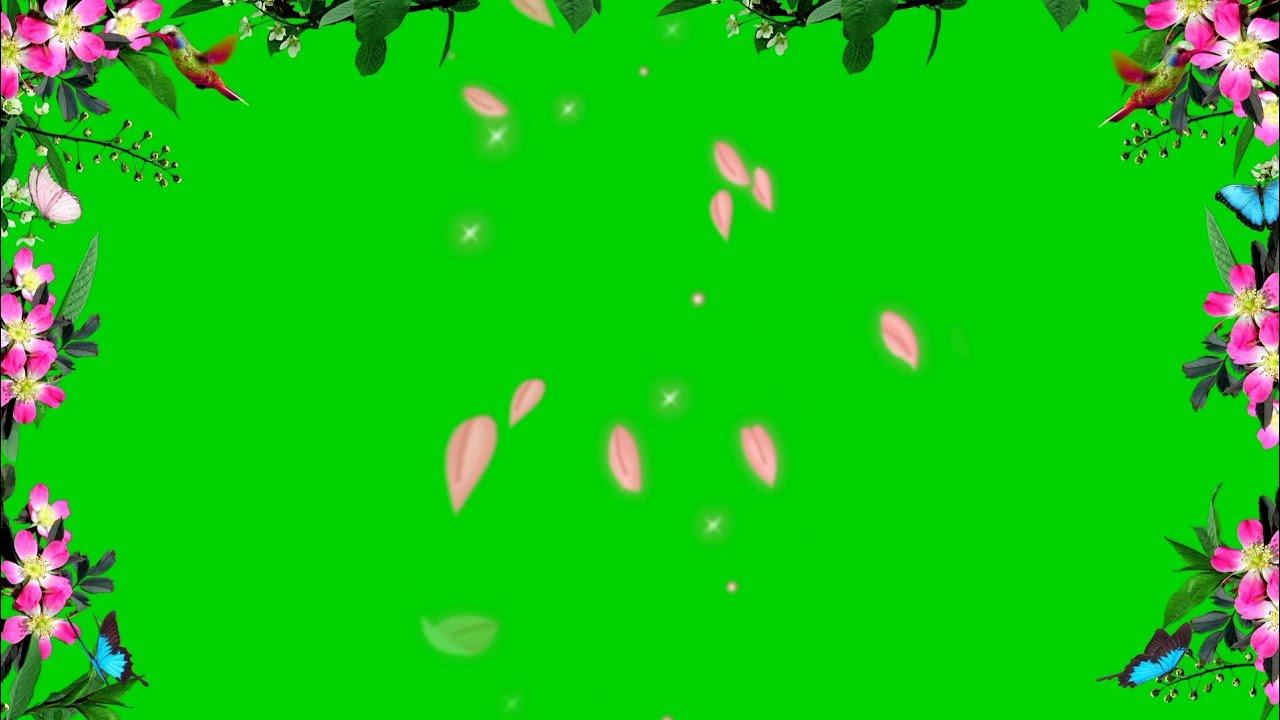 Falling Rose Petals Animation / Green Screen Flowers / Flower ...