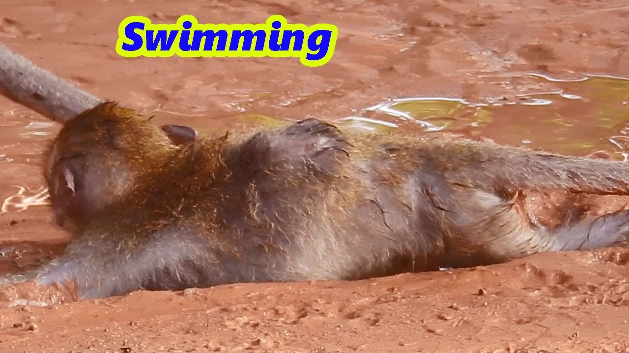 OMG! Little Baby Janna Swimming Without Much Water,Just Doing It On The ...