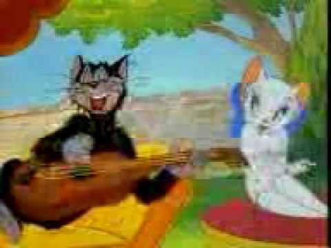 Tom e gerri.3gp