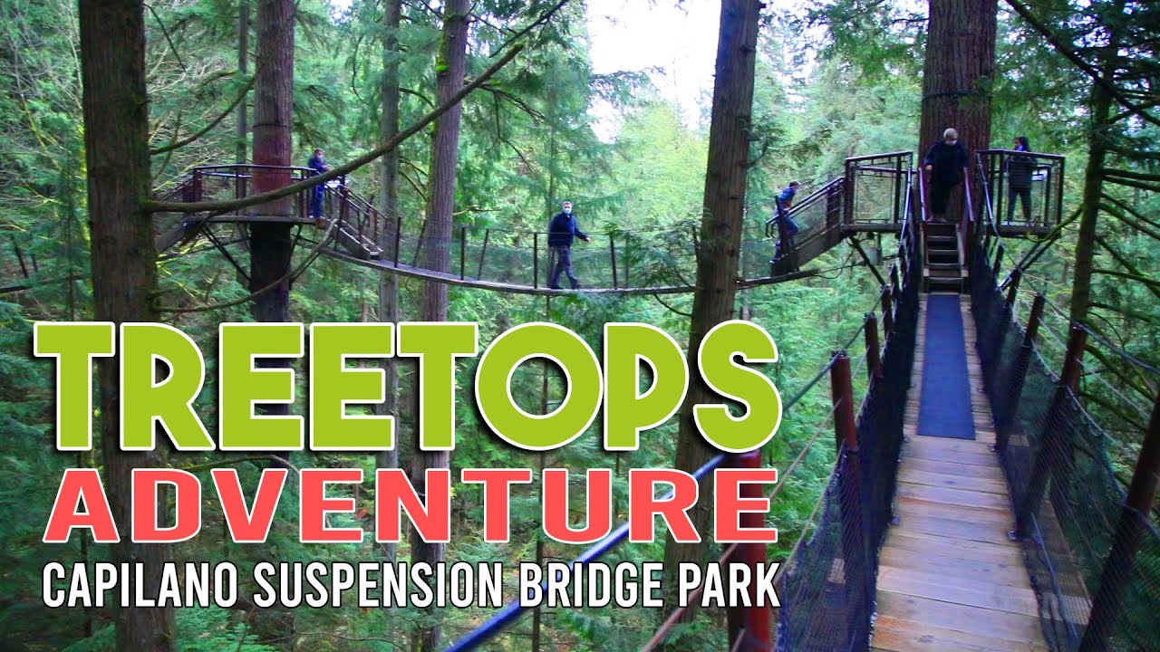TREETOPS ADVENTURE | Relaxing View | Capilano Suspension Bridge ...