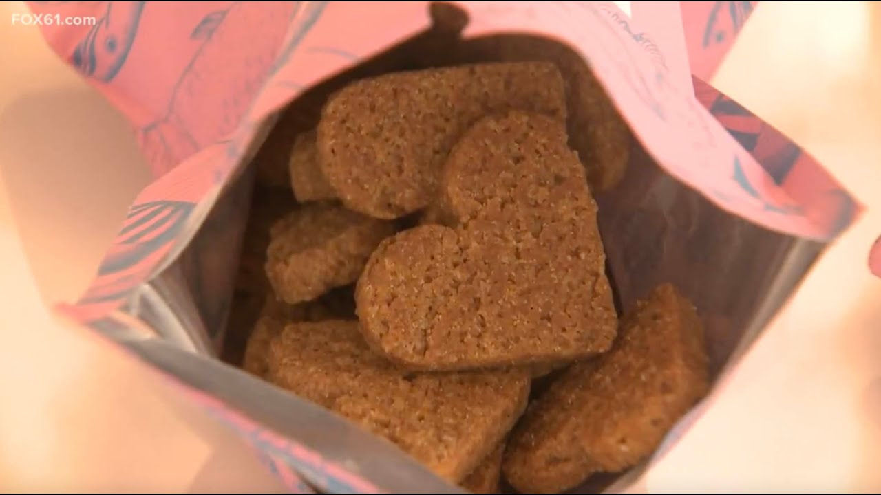 YUP PUP launches line of dog treats -- FOX61 - YouTube
