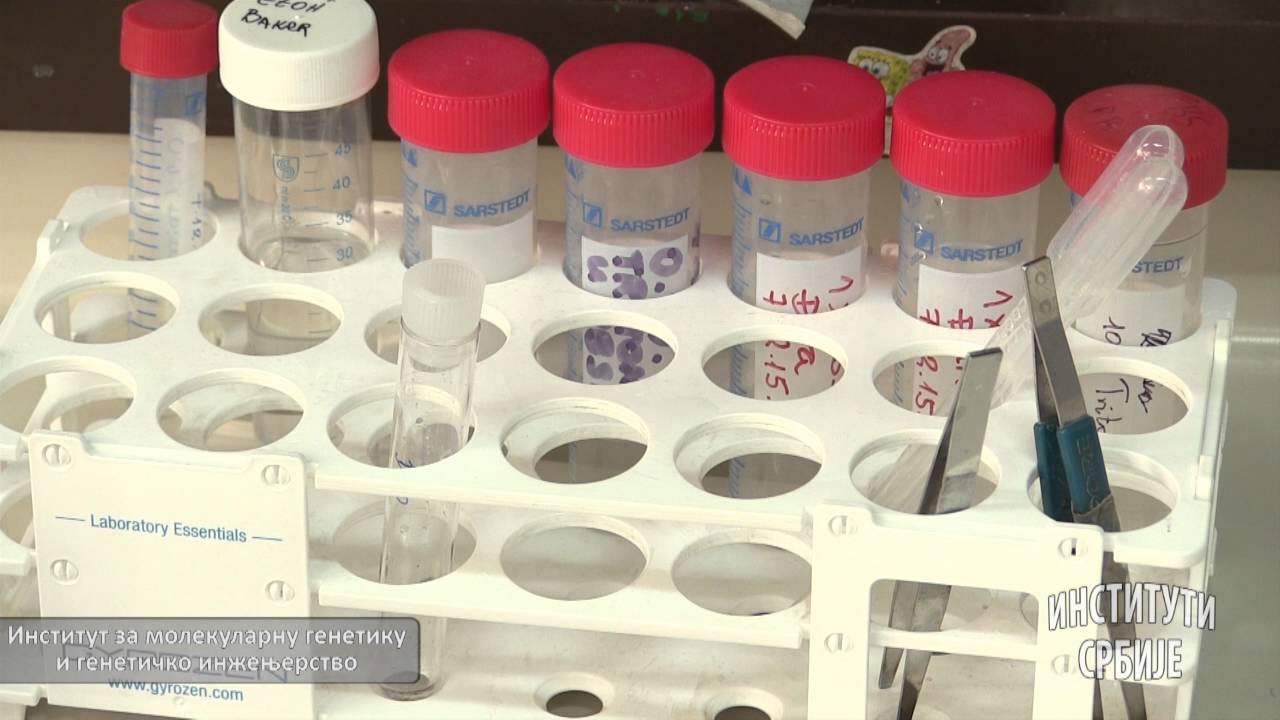 Instituti Srbije - Institut za molekularnu genetiku i genetičko ...
