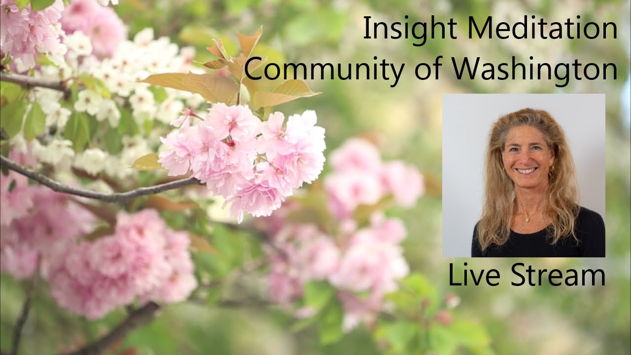 Tara Brach in Conversation with Jonathan Foust | Trusting the Gold ...