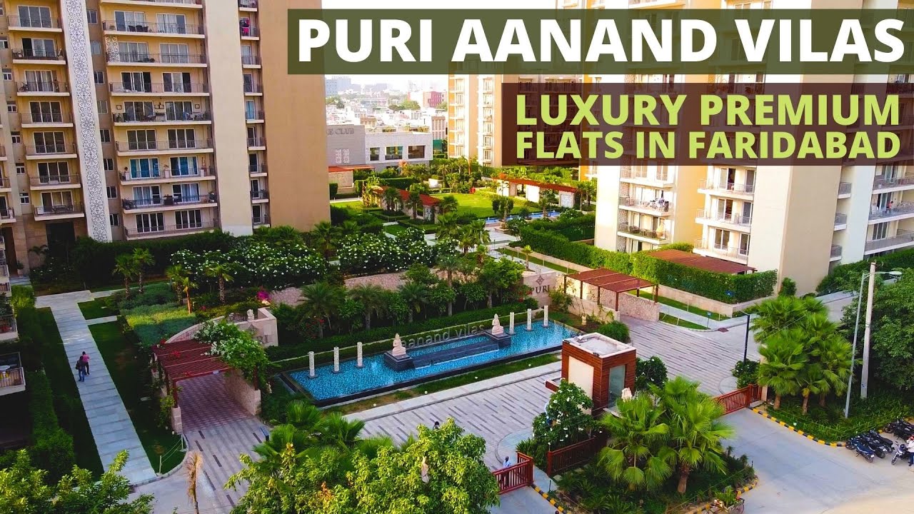 Cupid House Sector 29 Faridabad at Judy Roybal blog