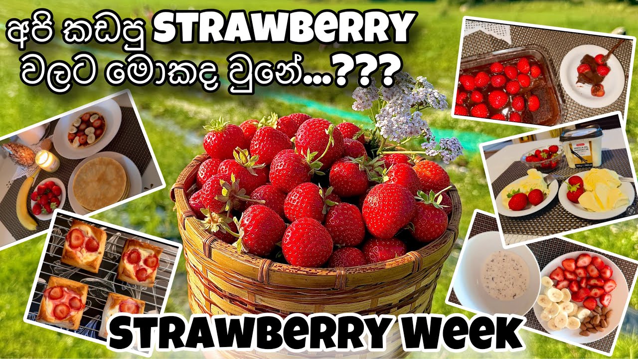 අපි කඩපු Strawberry වලට මොකද වුනේ…??? | Strawberry Week 🍓| A day in our ...