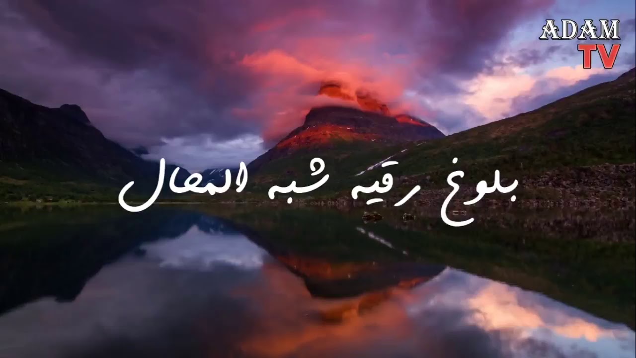 Adam TV Live Stream - YouTube