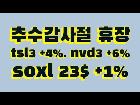 미국 휴장. 런던증시 종목 tsl3 +4%. nvd3 +6% - YouTube