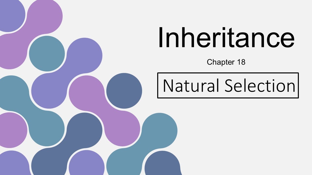 Inheritance (Biology Chapter 18) - Natural Selection - YouTube