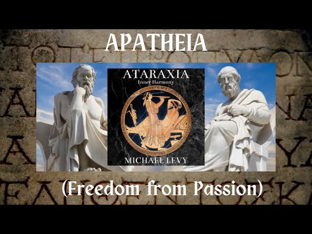 Ataraxia Quotes Ataraxia Definition In White' Men's Zip Hoodie
