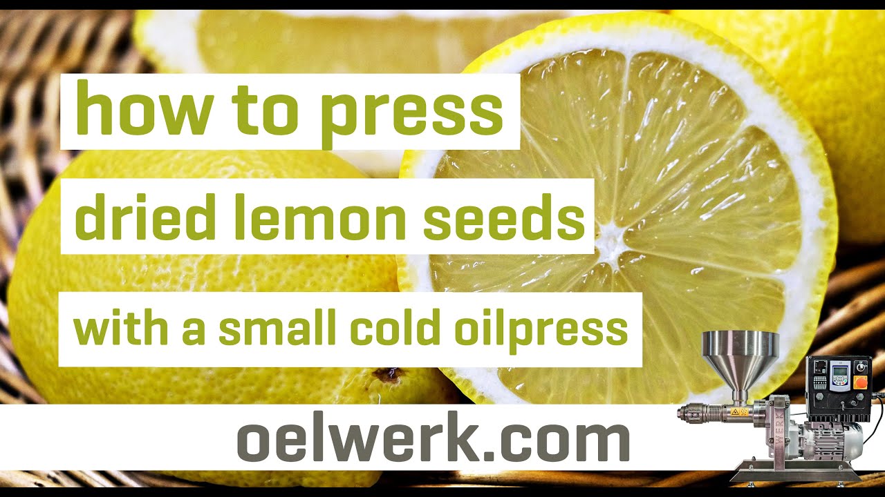 Refreshing beauty - lemon kernel oil production - YouTube