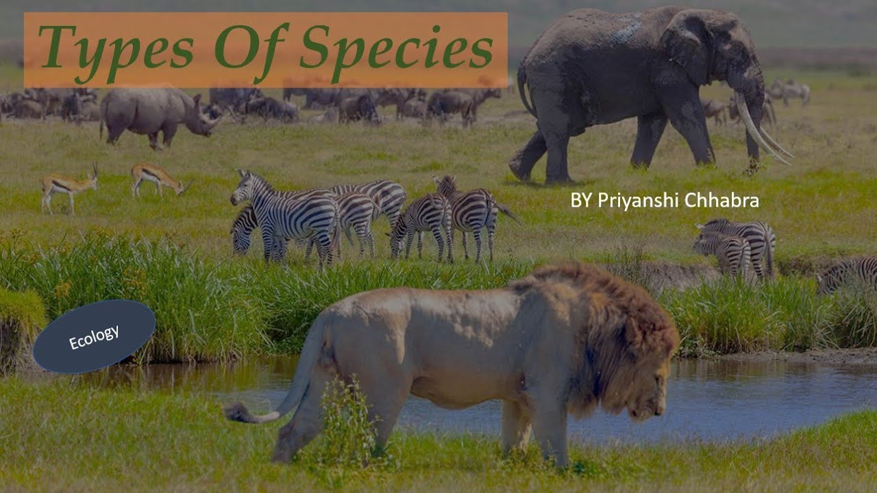 Types Of Species||Ecology - YouTube