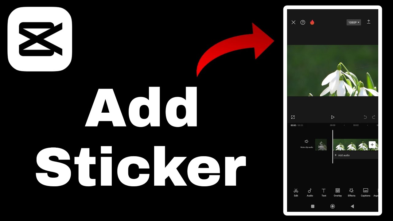 How To Add Sticker in Video In CapCut - YouTube