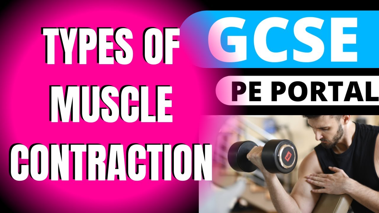 Muscle Contraction Types - Isometric, Concentric, Eccentric - YouTube