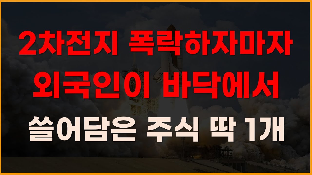 2차전지 폭락하자마자 외국인이 바닥에서 쓸어담은 주식 딱 1개 2차전지관련주 에코프로비엠 주식전망 엘앤에프 포스코