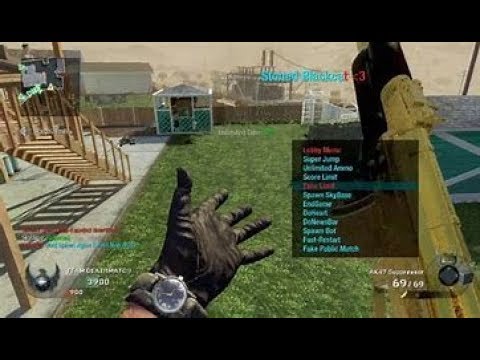 BO1 MODDED THEATRE INFECTIONS?! (FORCE HOST , XP LOBBY, MODDED SKY ...