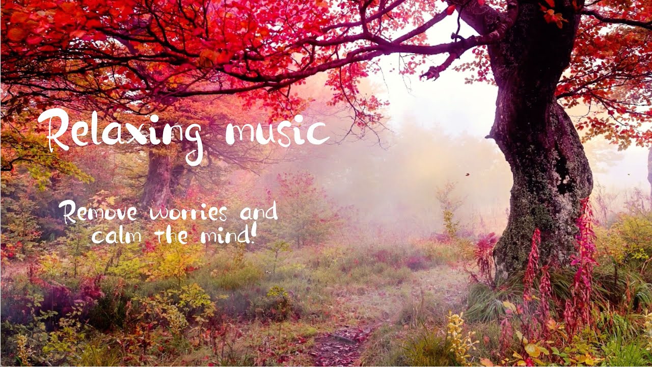 1. Relaxing music can soothe the mind, remove worries and calm the mind ...