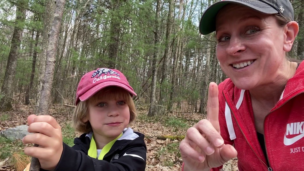 Woods Adventure One - YouTube