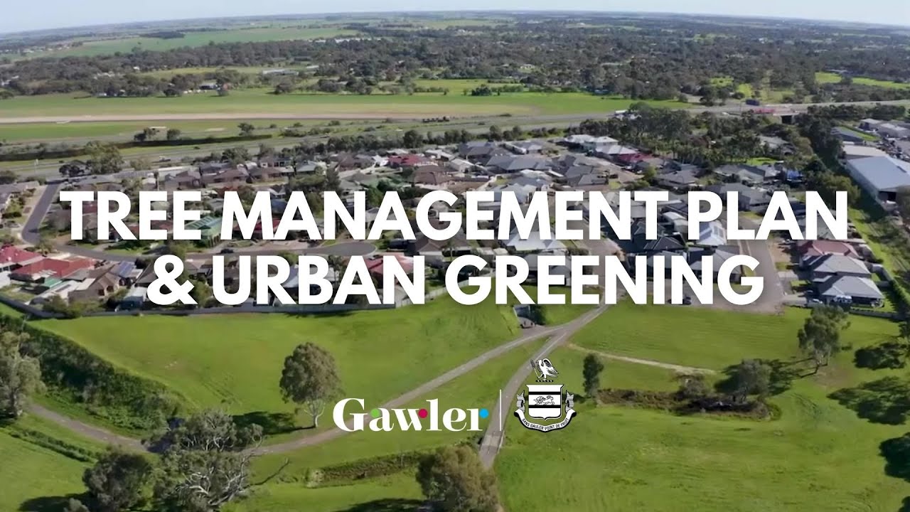 Tree Management Plan and Urban Greening Strategy 🌳 - YouTube