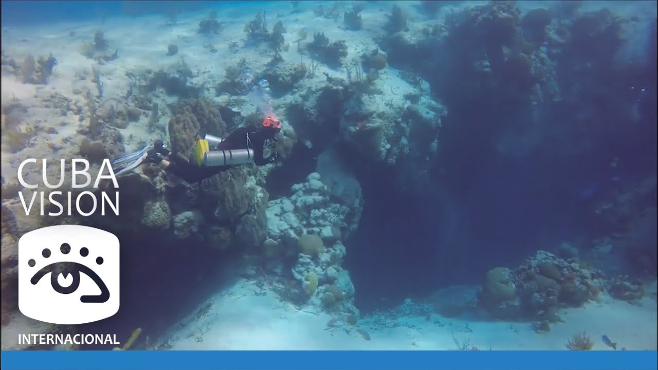 Cuba - Buceo en Varadero - YouTube