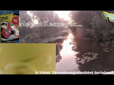 Holt-Maros Élővilága 3.évad. 9.rész."Megint Keszegek..."FHD - YouTube