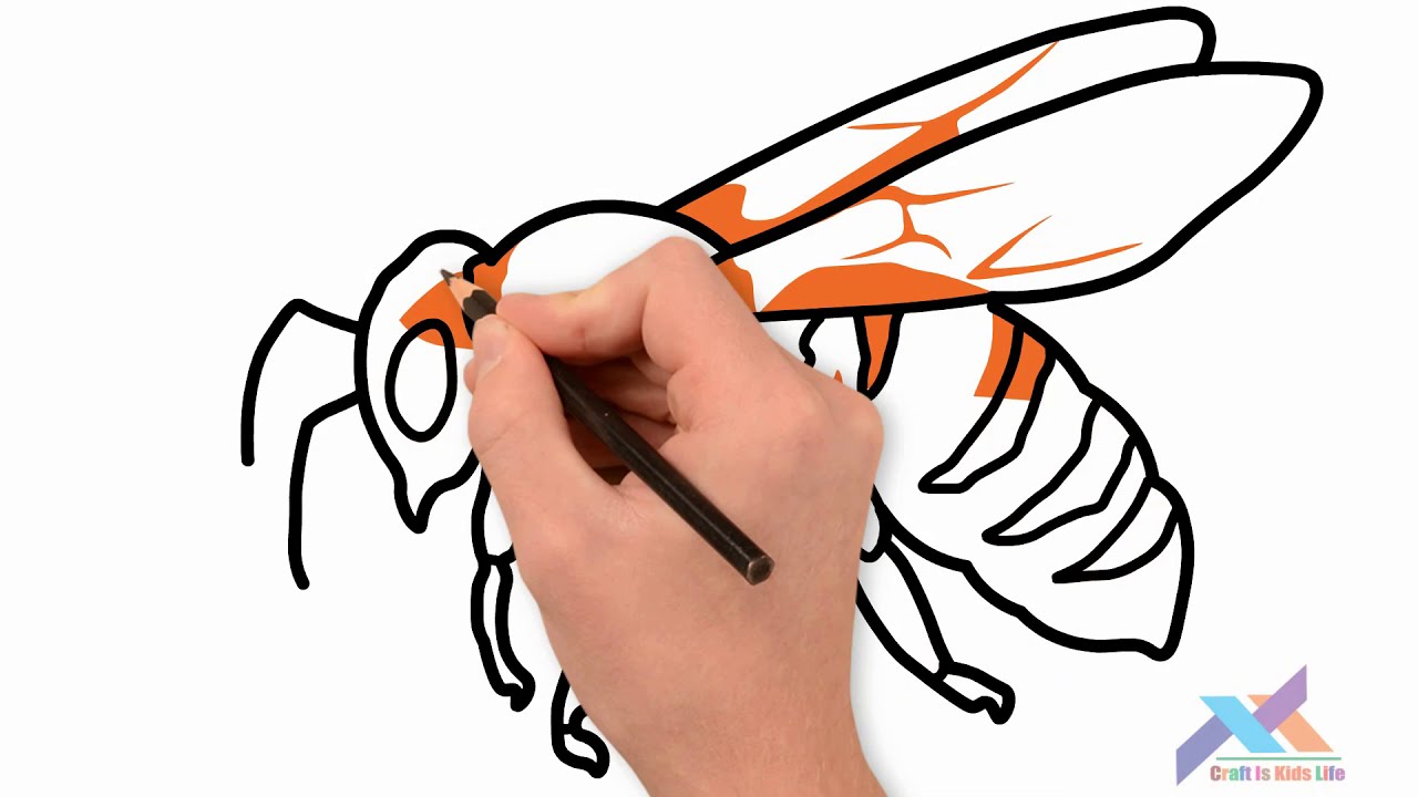 How to Draw Bees step by step Drawing for kids || how to draw a beehive ...