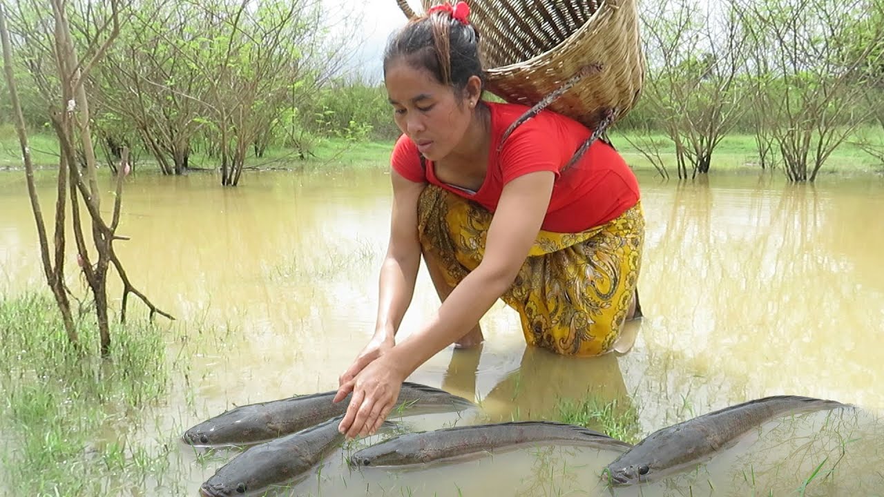 Women run to catch big fish in a small lake near the river She cooks ...