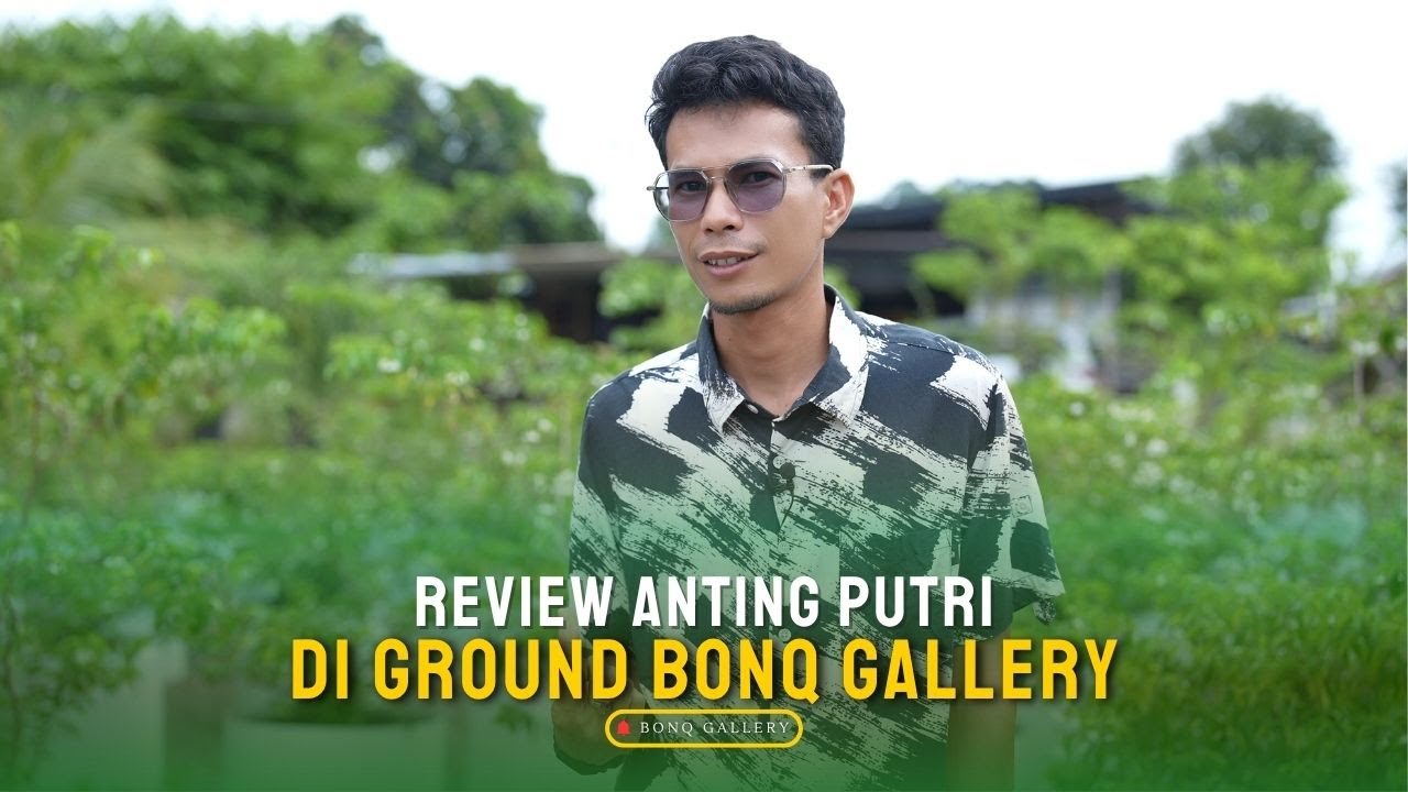 Review koleksi anting putri Bonq Gallery - YouTube