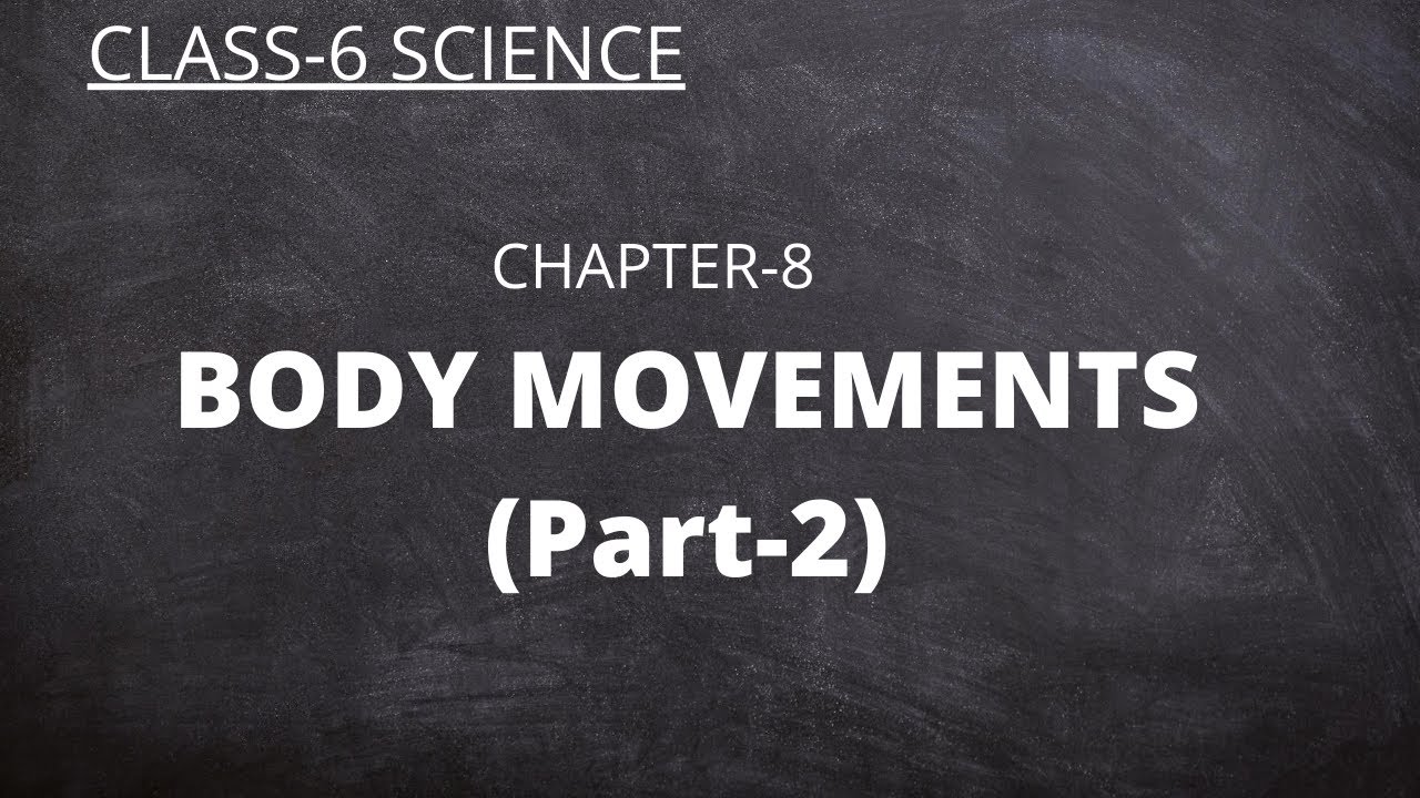 NCERT Class-6 Science Chapter-8 BODY MOVEMENTS(Part-2) - YouTube