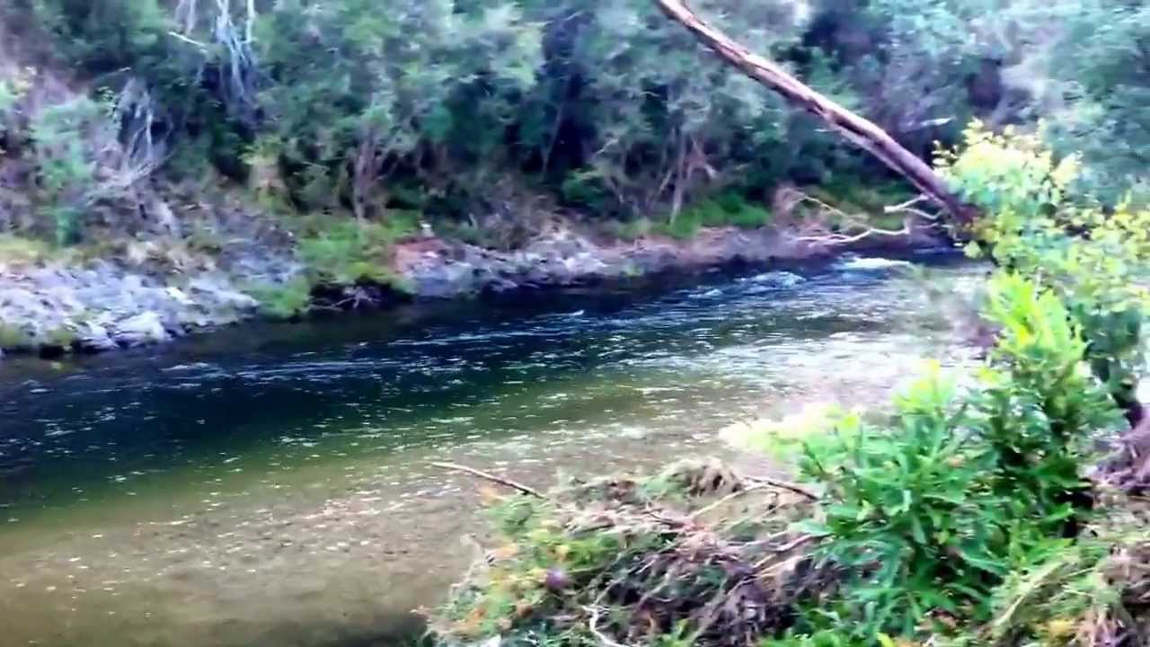 Week at Geehi. - YouTube