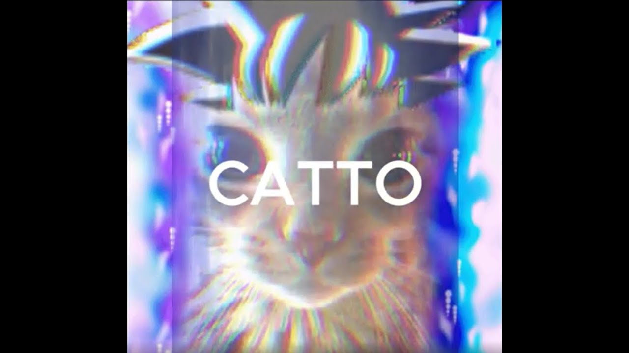 Catto Vs Powerful Characters - YouTube