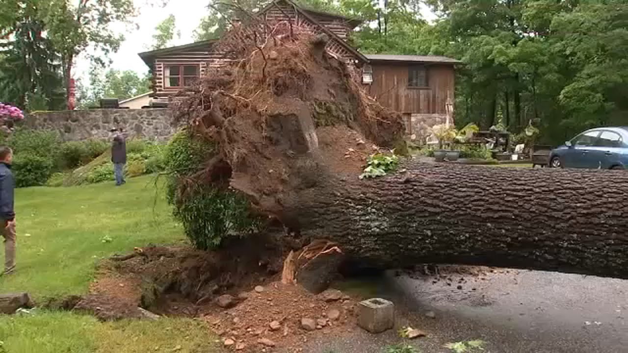 Power outages, trees down as storms move through Tri-State area - YouTube