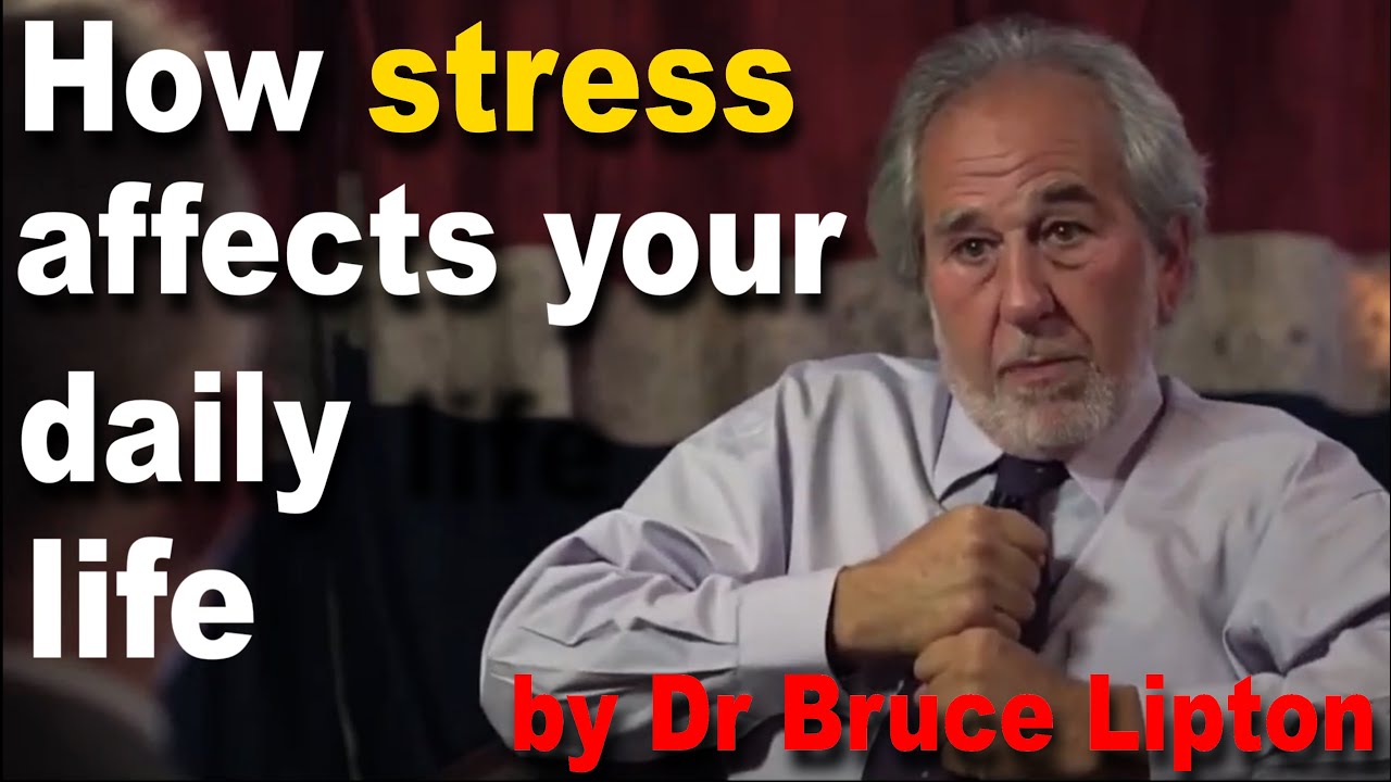 How stress affects your life by Dr Bruce Lipton - YouTube