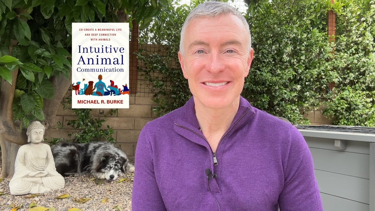 Announcing My New Book: Intuitive Animal Communication - YouTube