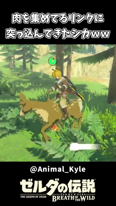 肉を集めてるリンクに突っ込んできたシカが面白すぎるww【ゼルダの伝説 ブレス オブ ザ ワイルド】 - YouTube