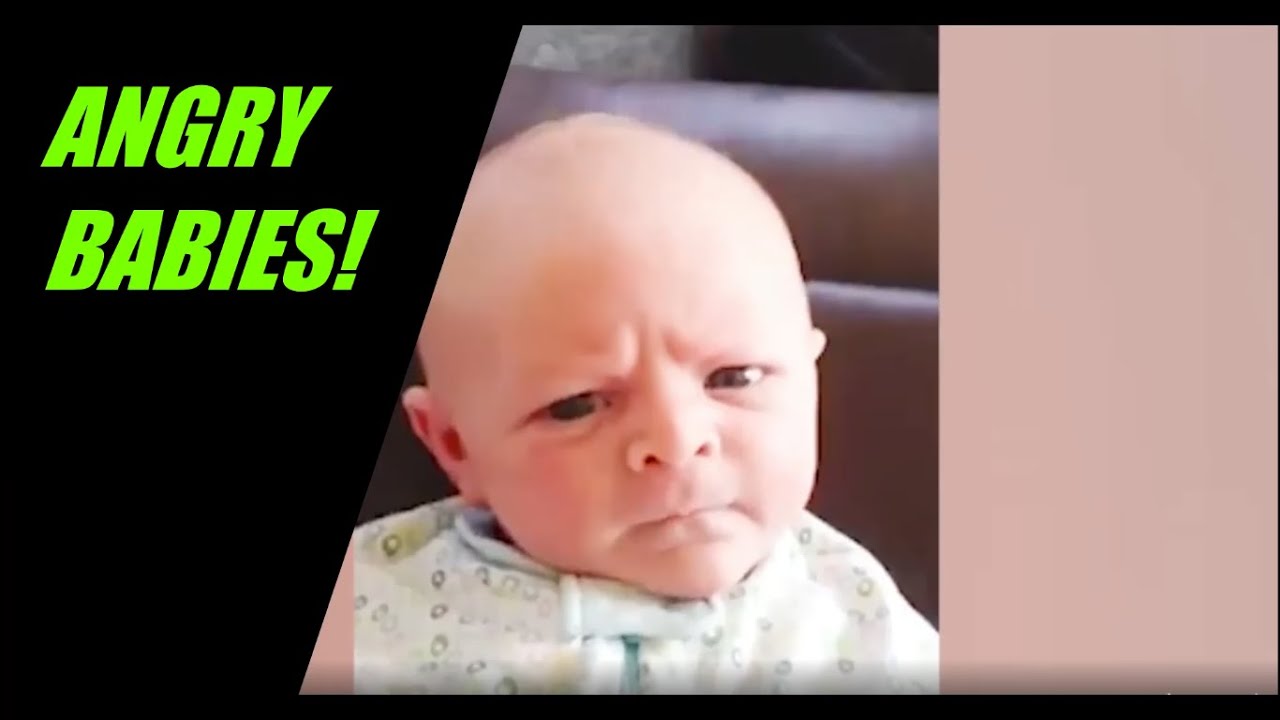 ANGRY BABIES COMPILATION - YouTube