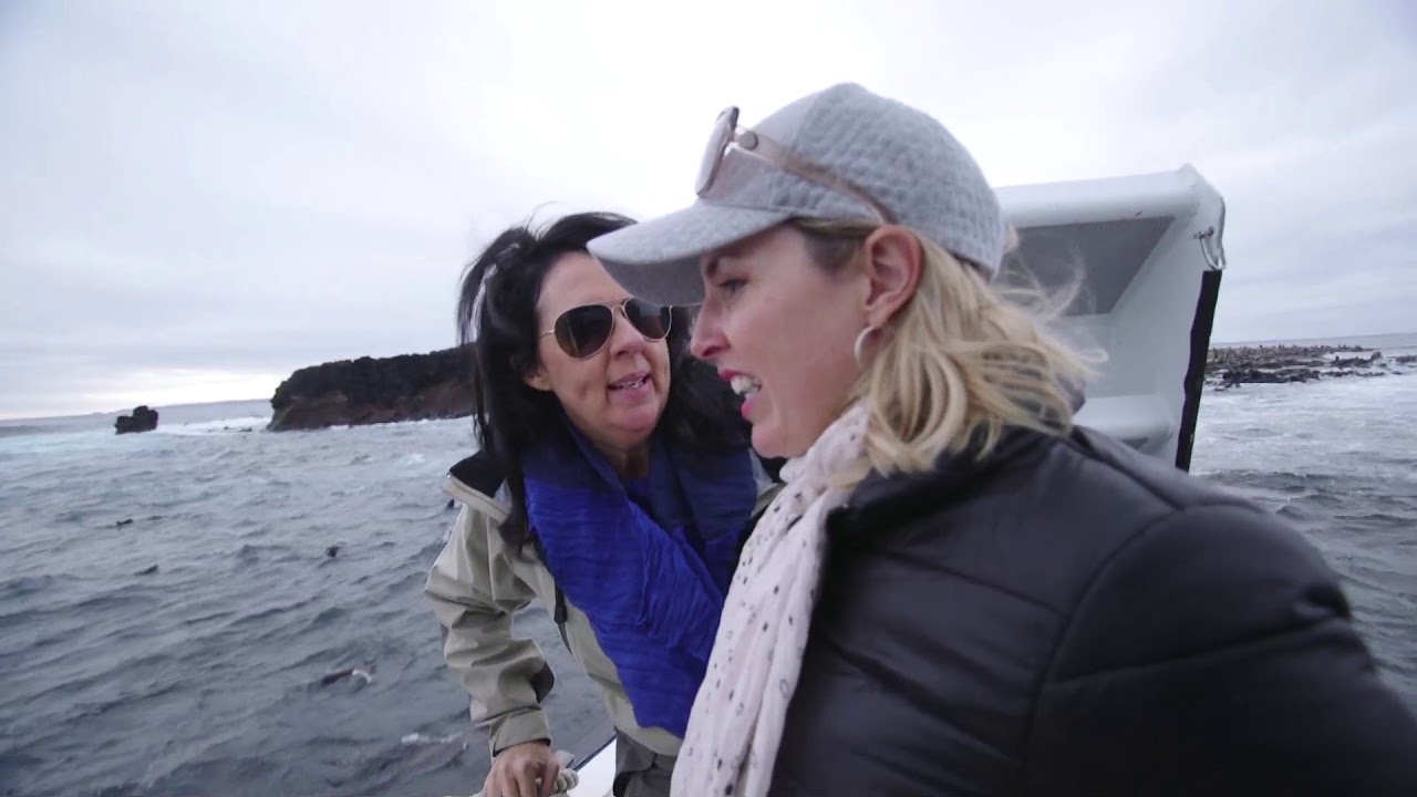 WUDU S10E6 Angie & Tania get up close to baby Seals! - YouTube