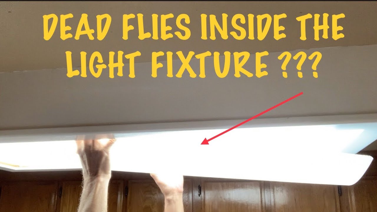 How To Remove Dead Flies inside a Light Fixture [and keep them out ...