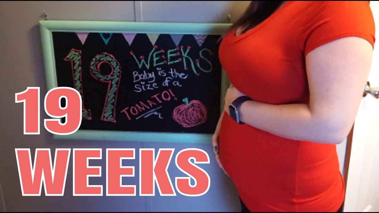 19 Weeks Pregnancy Update Youtube