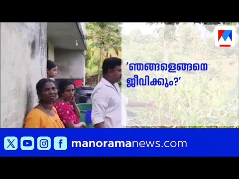 കോതമംഗലം വാവേലിയിൽ പത്തംഗ കാട്ടാനക്കൂട്ടം; ഭീതിയിൽ നാട്ടുകാര്‍ | Kothamangalam | Wild Elephant