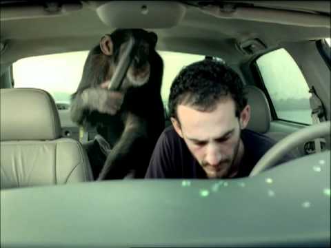 Why Do Cars Have Monkey Hanging Out Of Their Trunks