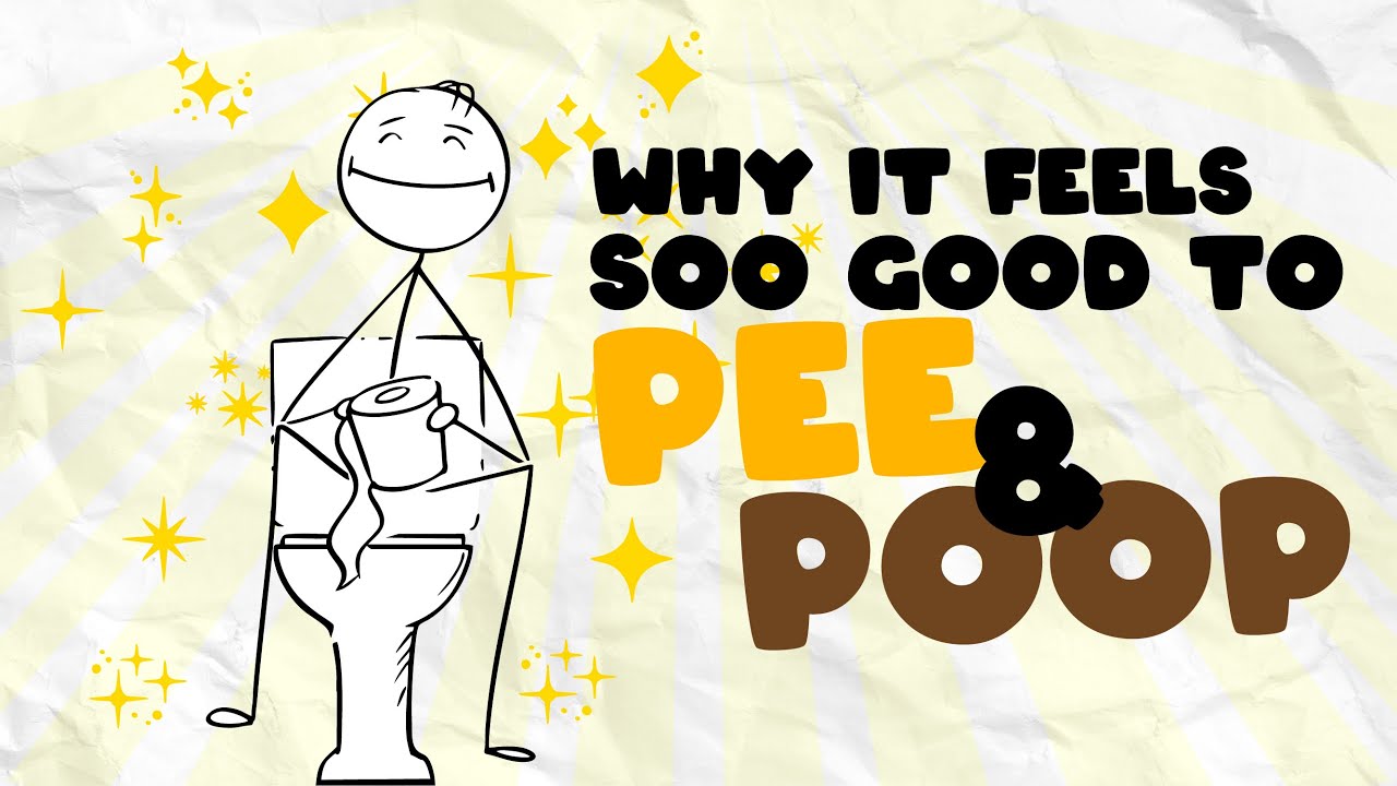 Why Peeing and Pooping Feel SO Good (The Weird Truth) 🚽😌 #BathroomBliss ...