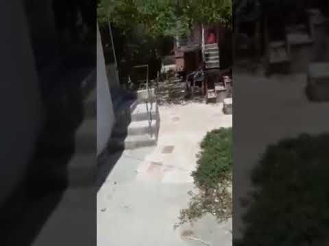 bir dedenin torunla atışması Arapça