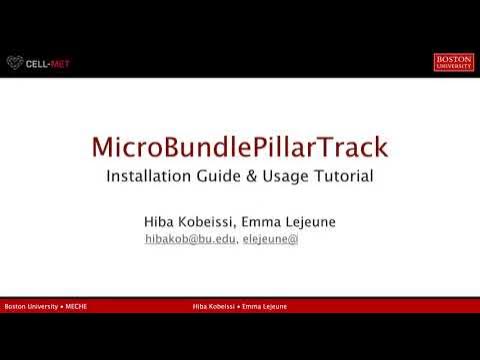 MicroBundlePillarTrack Demo - YouTube