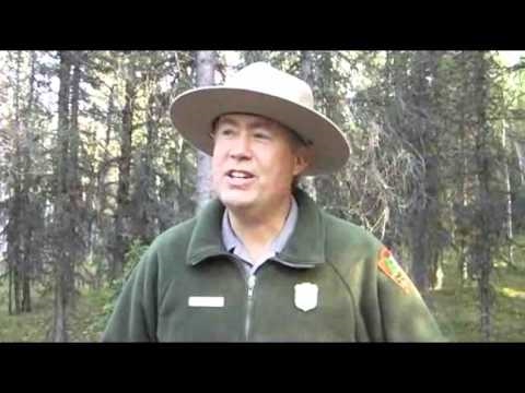 Denali ranger - YouTube